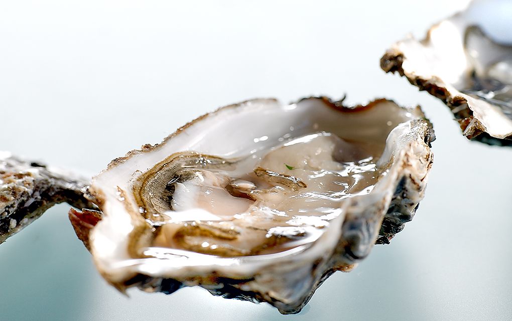 Oesters: recepten en tips | Colruyt
