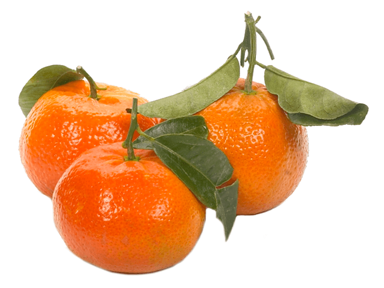 Fruit de saison : mandarine | Colruyt