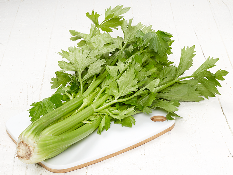 Légume de saison : céleri vert | Colruyt