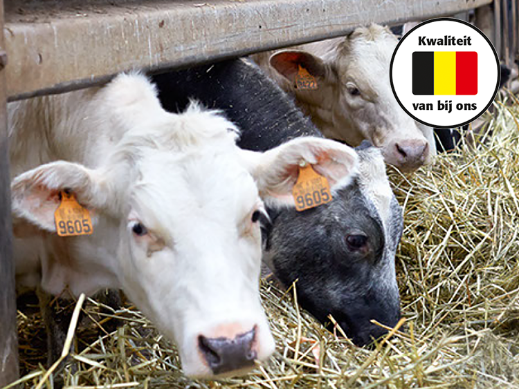 Mals, sappig en Belgisch rundvlees | Colruyt